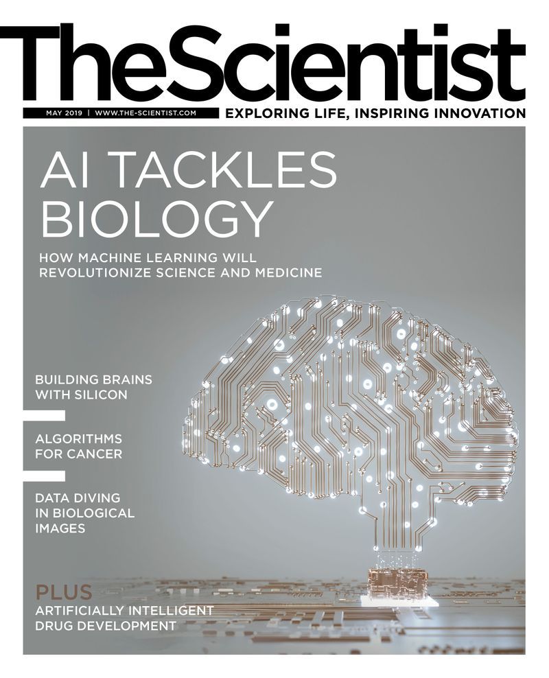 The Scientist Magazine Issue | May 2019 | AI Tackles Biology | The ...