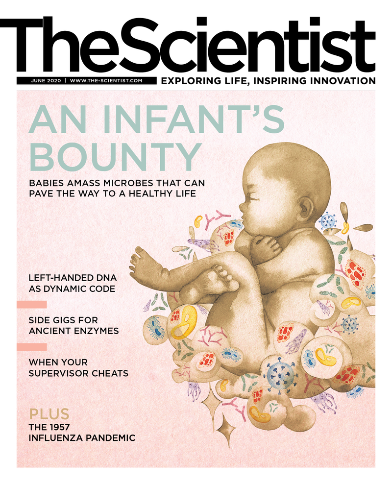 The Scientist Magazine Issue | June 2020 | An Infant's Bounty | The ...
