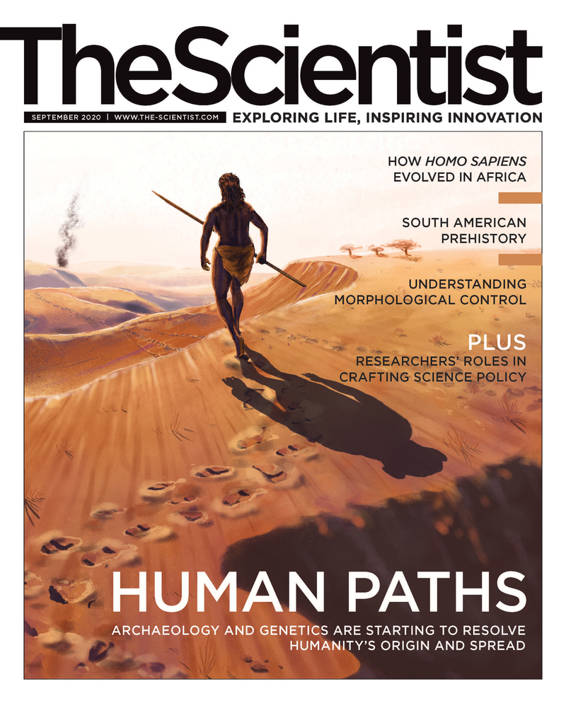 The Scientist Magazine Issue | September 2020 | Human Paths | The Scientist