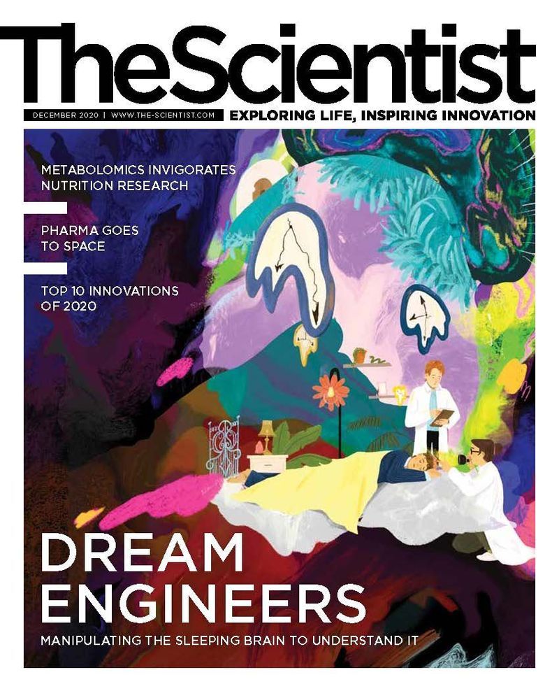 The Scientist Magazine Issue | December 2020 | Dream Engineers | The ...