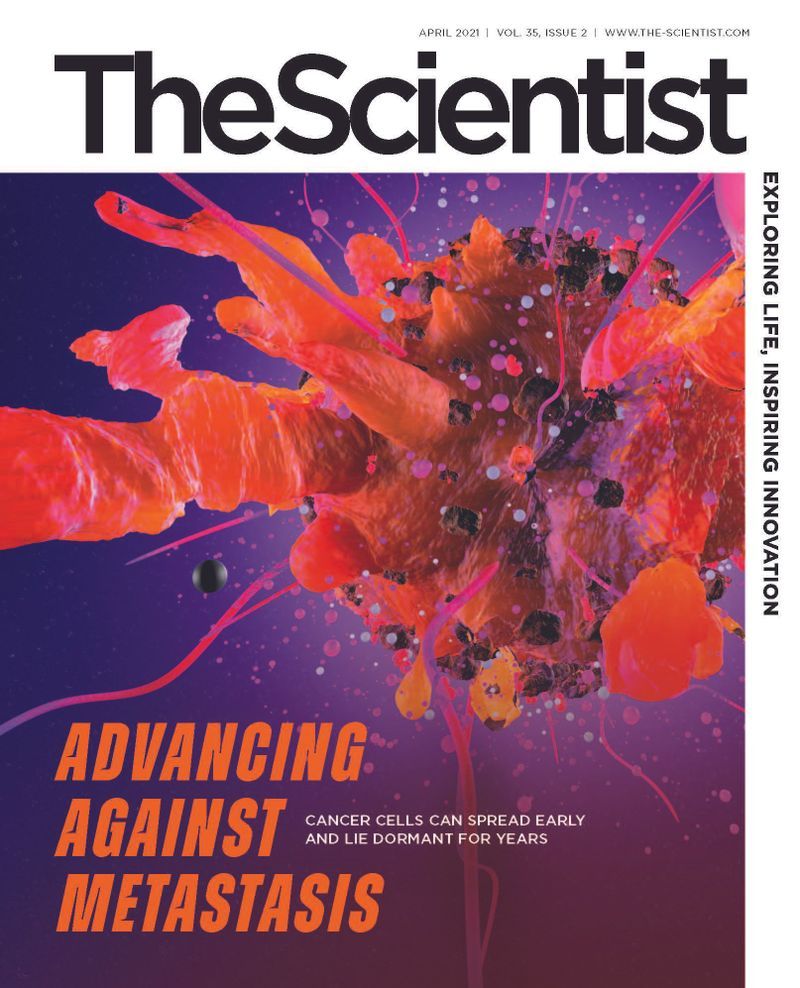The Scientist Magazine Issue | April 2021 | Advancing Against ...
