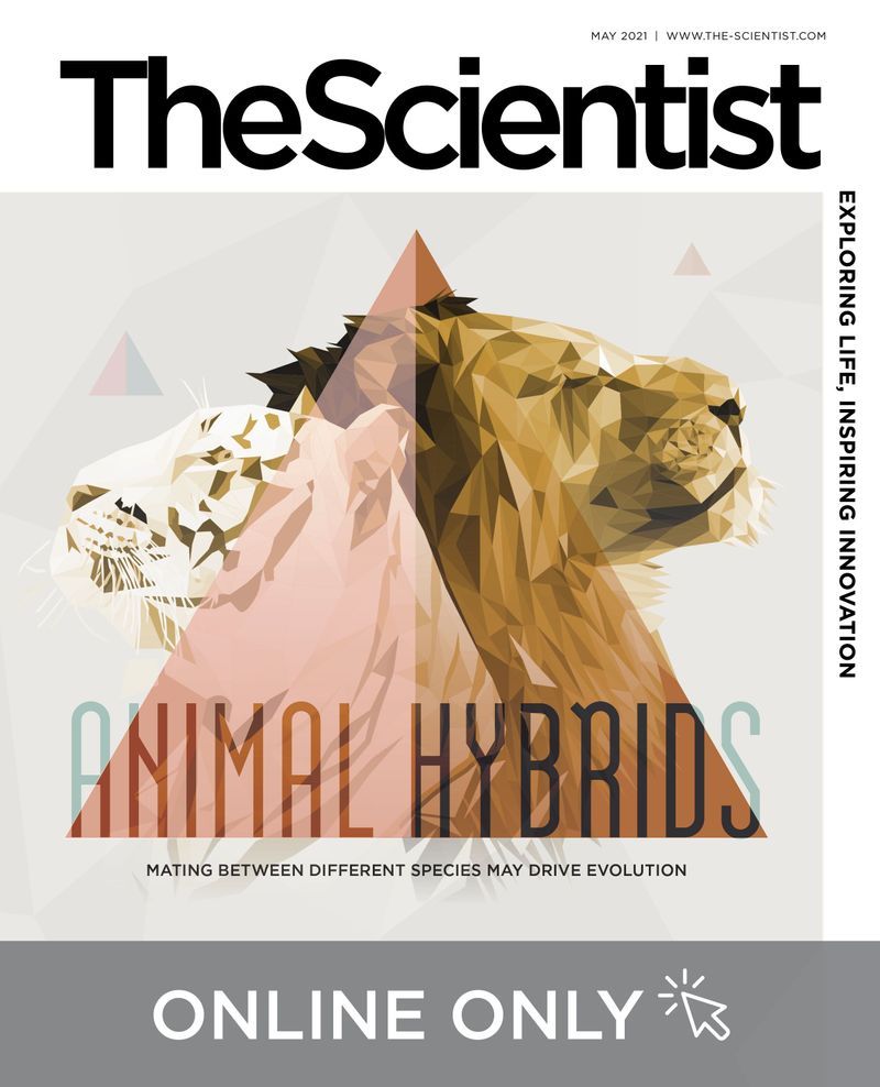 The Scientist Magazine Issue | May 2021 | Animal Hybrids | The Scientist