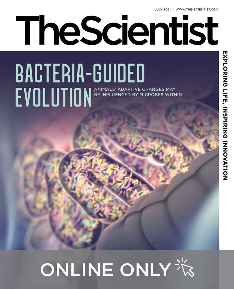 The Scientist Magazine Issue | July 2021 | Bacteria-Guided Evolution ...
