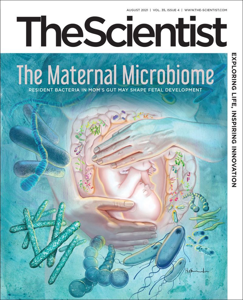The Scientist Magazine Issue | August 2021 | The Maternal Microbiome ...