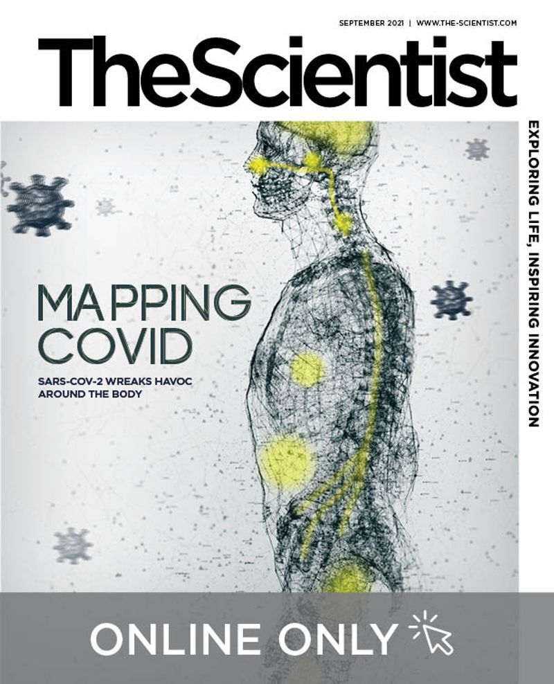 The Scientist Magazine Issue | September 2021 | Mapping Covid | The ...