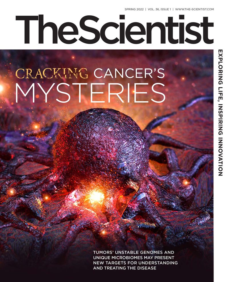 The Scientist Magazine Issue | Spring 2022 | Cracking Cancer's ...