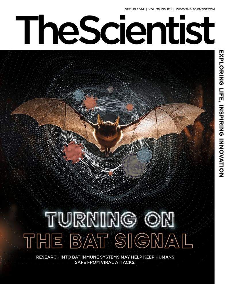 The Scientist Magazine Issue | Spring 2024 | Turning on the Bat Signal ...