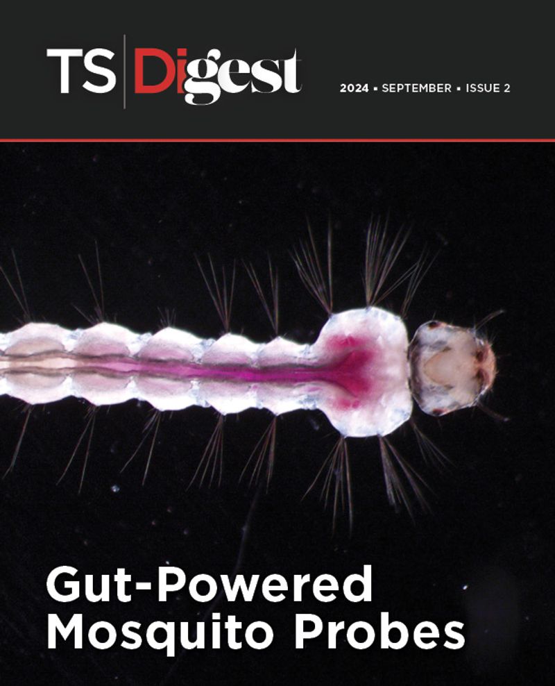Gut-Powered Mosquito Probes | The Scientist
